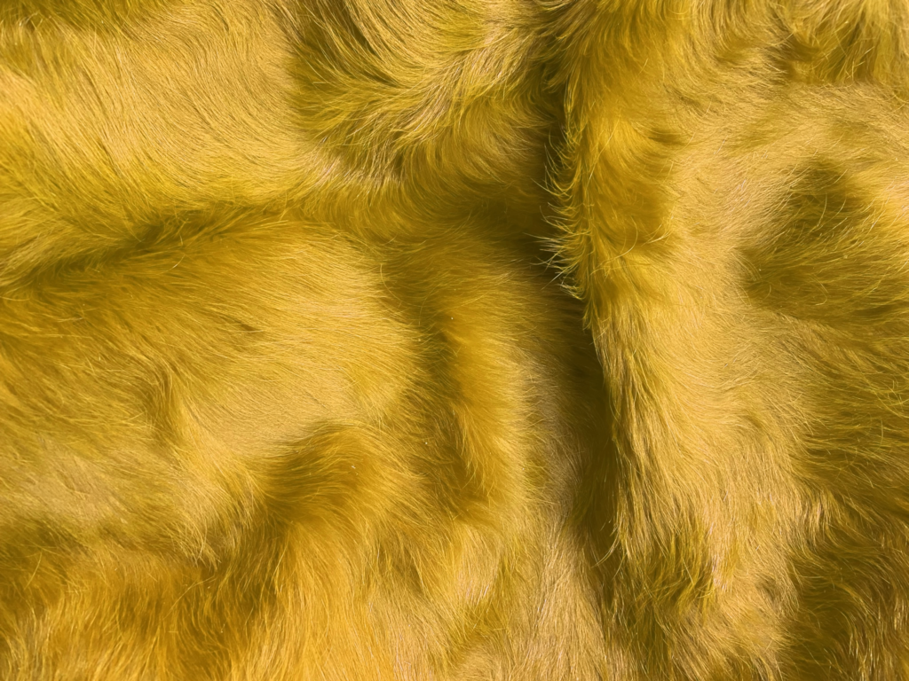 Dyed Yellow – Leather Trends